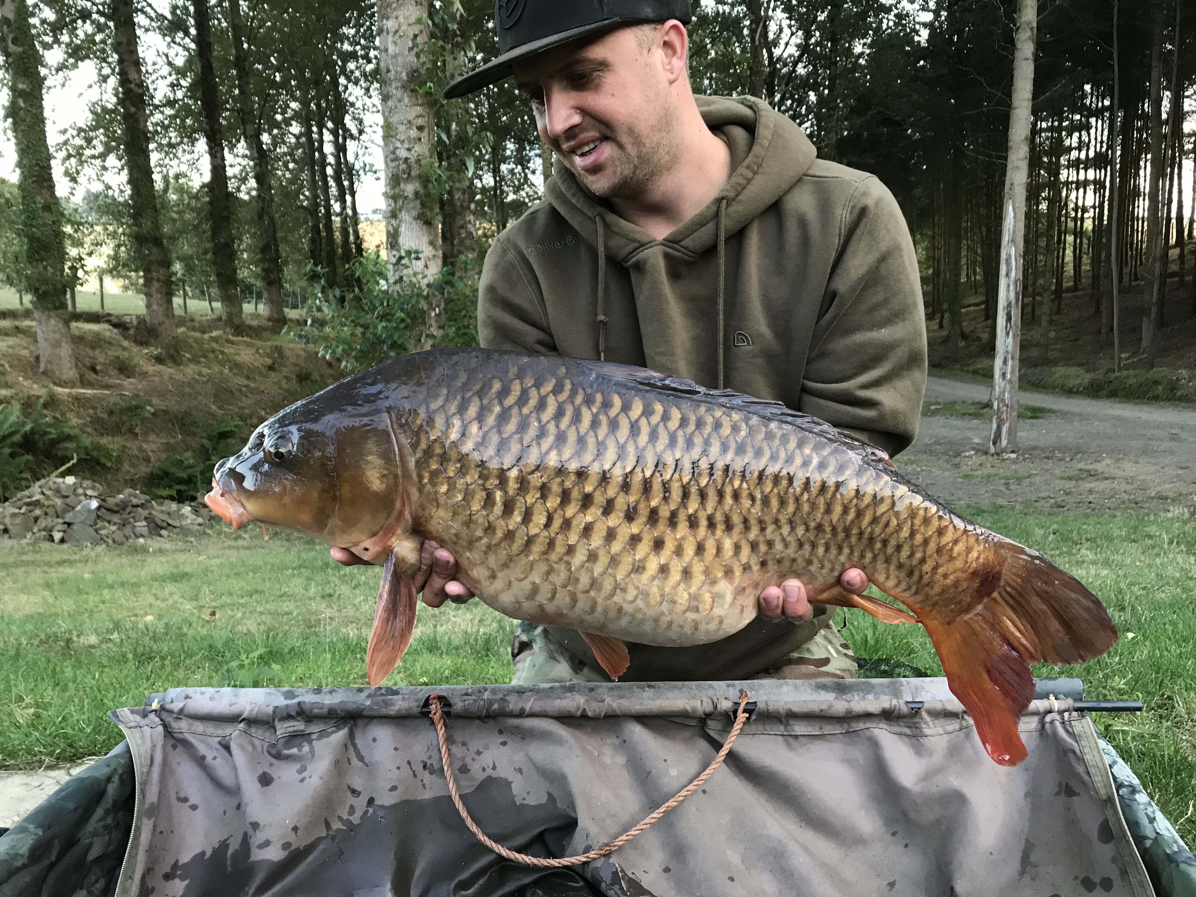 Off the top | Total Carp